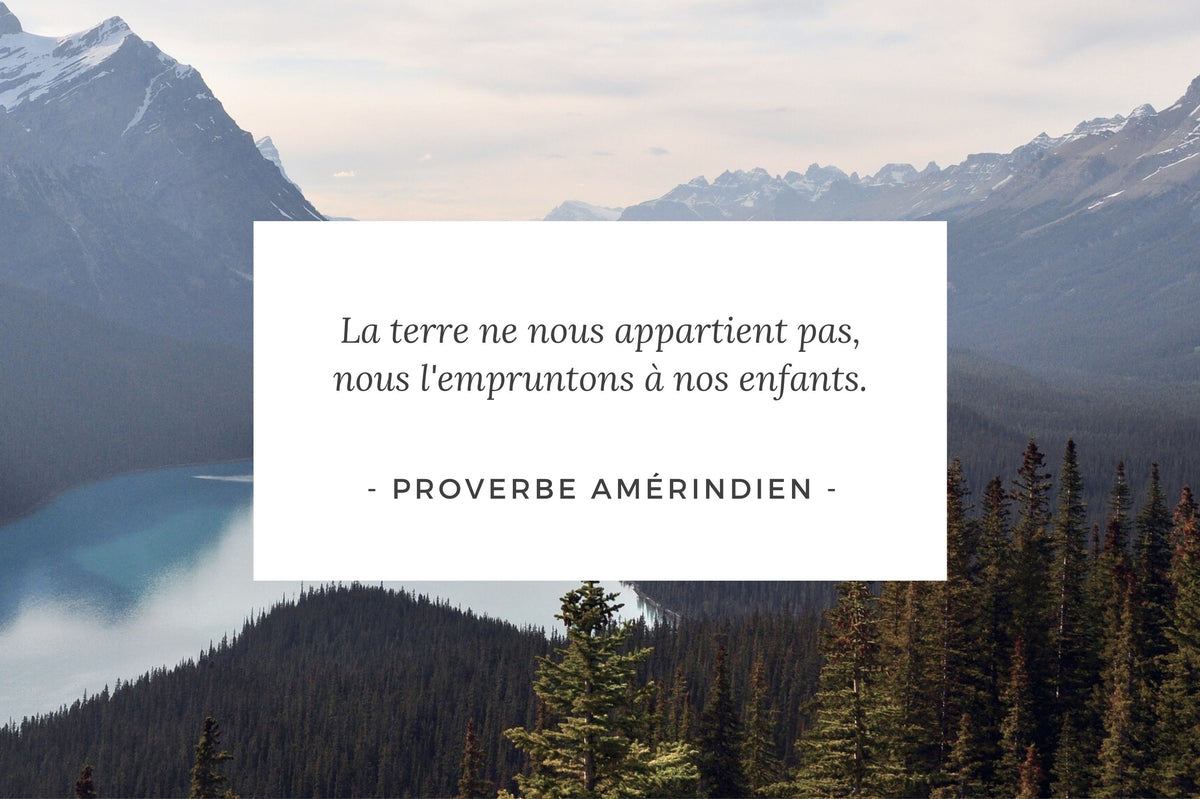 Les 10 meilleures citations inspirantes sur l'écologie pour un avenir ...